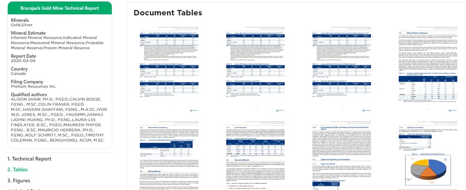 What is the National Instrument (NI) 43-101?
